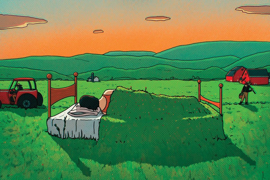 The Case Of The Heter Mechira: Halacha and History of Modern Shmittah ...